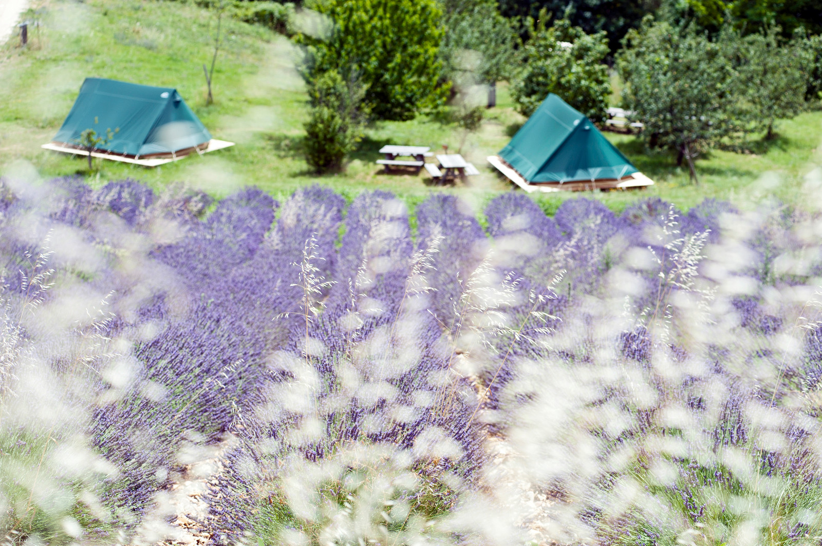 Les coups de cœur Nature d'Huttopia #1 - Huttopia Blog