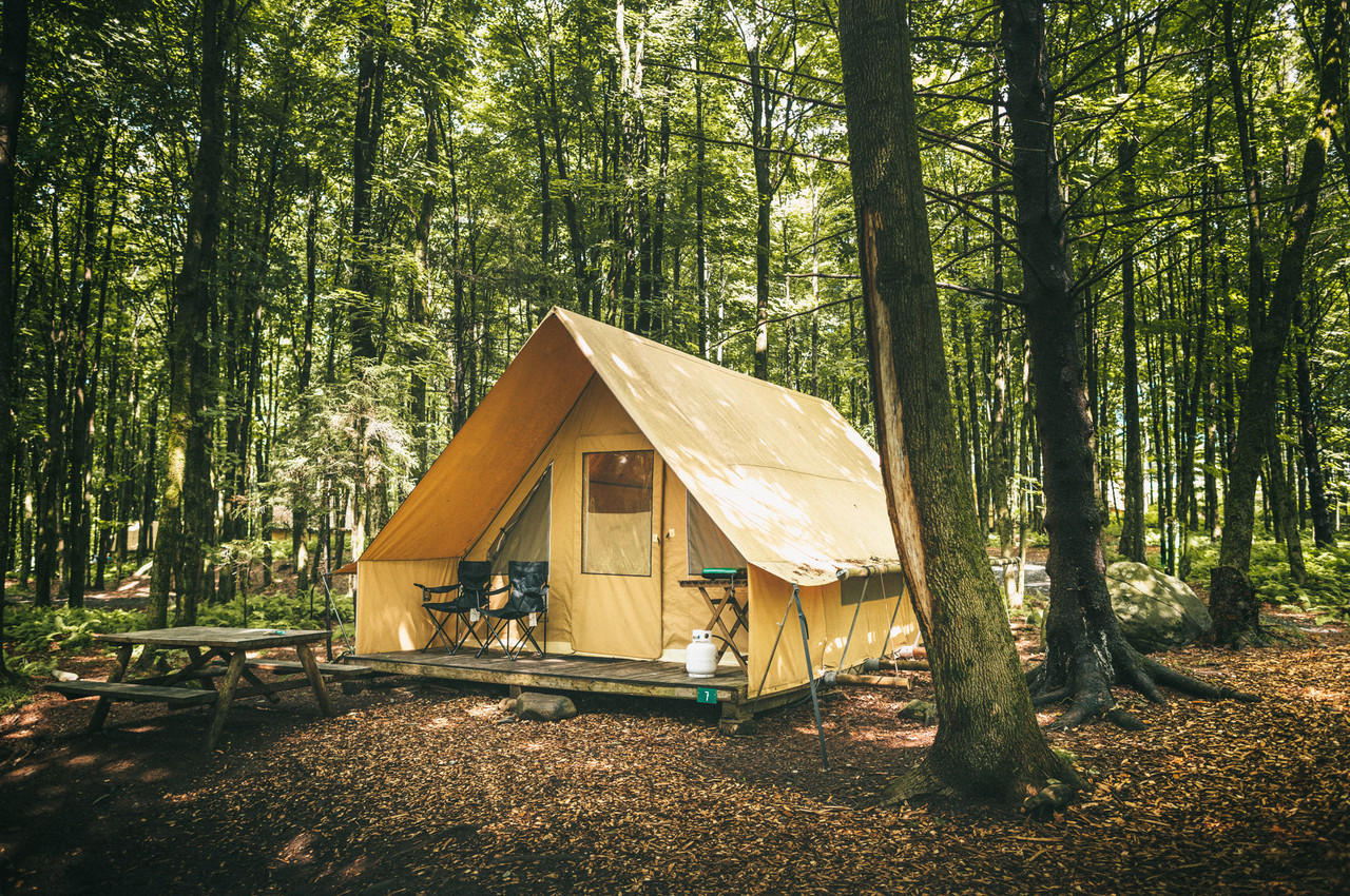 5 ideas for ‘green’ camping this summer - Huttopia Blog