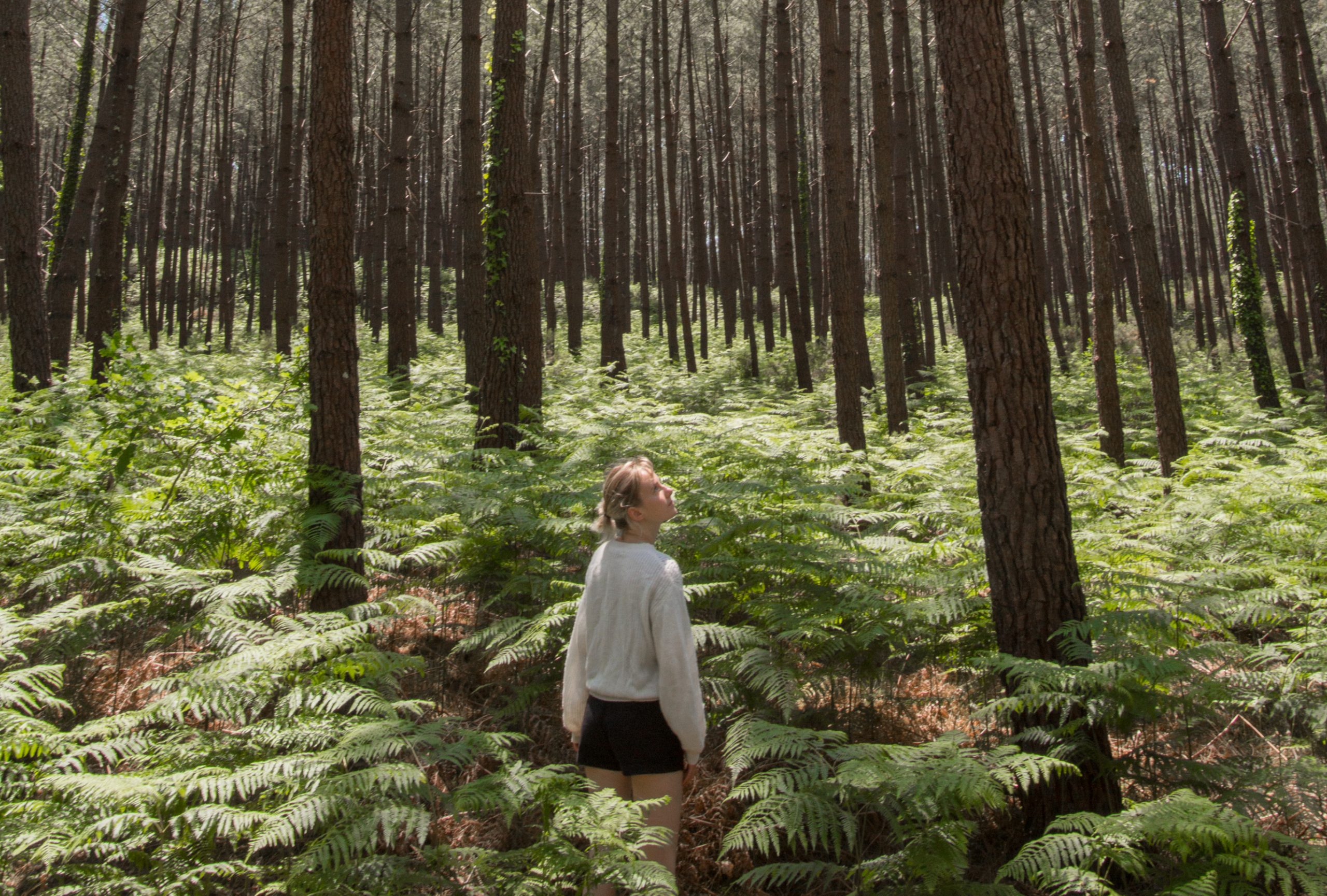 The Roadtrippers I Prendre l'air marin dans les Landes Sud - Huttopia Blog